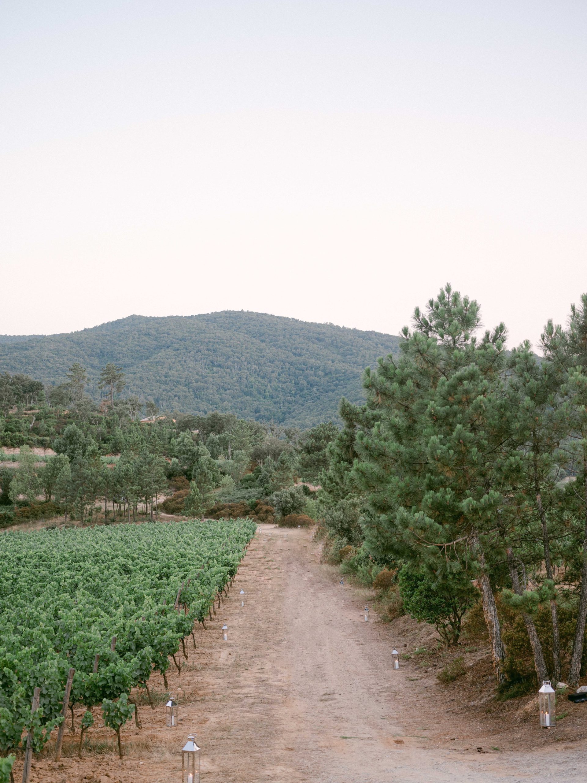 DOMAINES VITICOLES : MARIAGE À LA FRANÇAISE - Elodie Villemus Weddings
